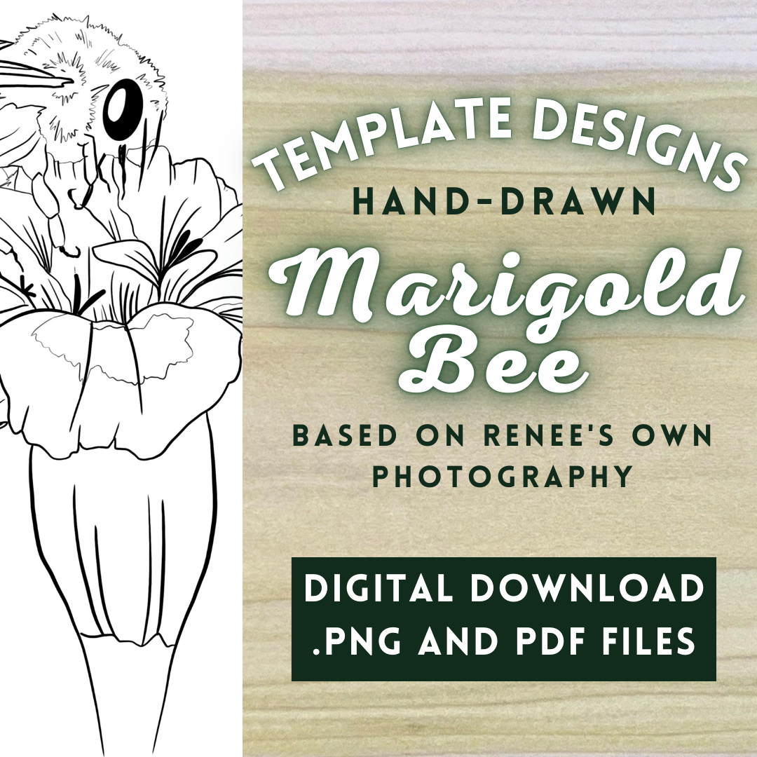 Hand-Drawn Marigold Bee Template – It's David and Renee