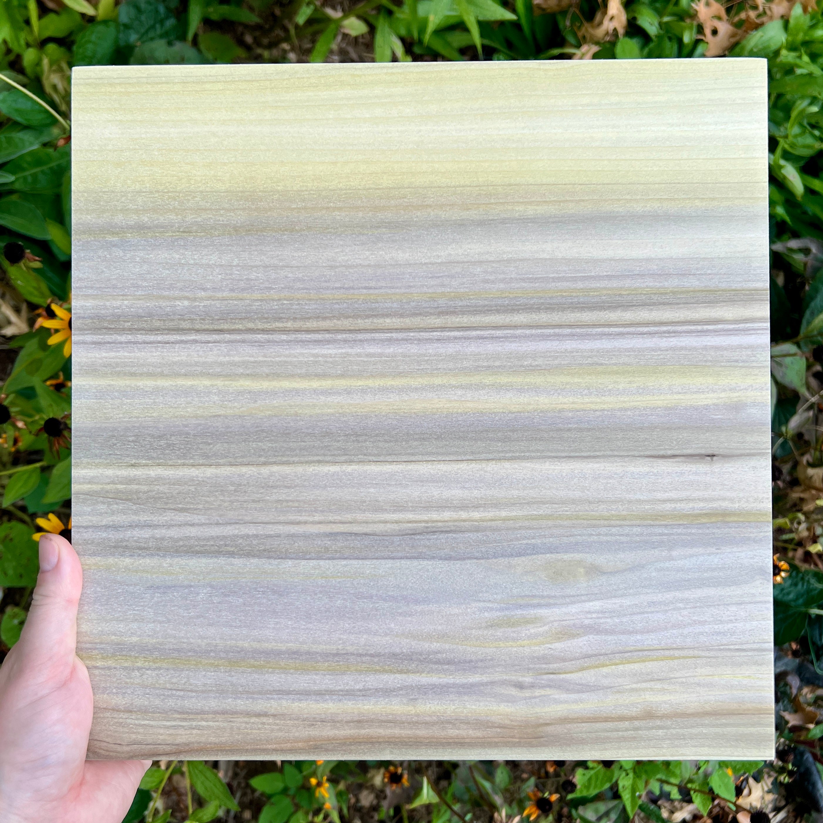 Large 12" Square Rainbow Poplar Panel – It's David and Renee
