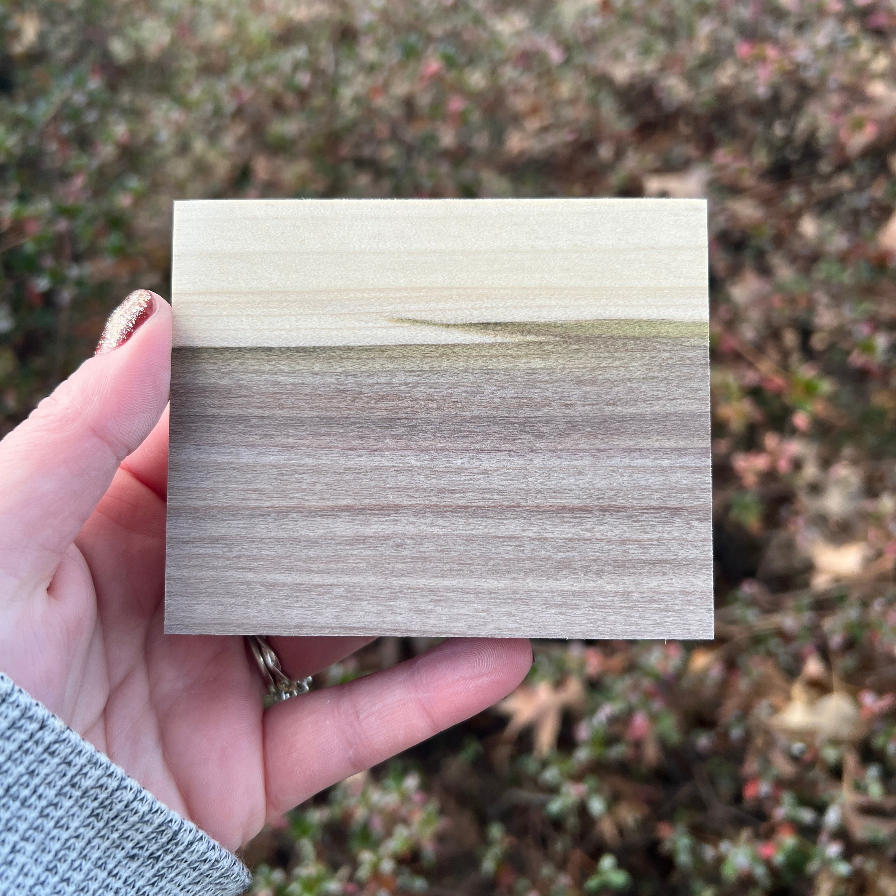 Rainbow Poplar Piece 008 – It's David and Renee